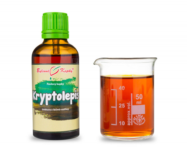 Kryptolepis (Cryptolepis) - bylinné kapky (tinktura) 50 ml | FAJN Byliny