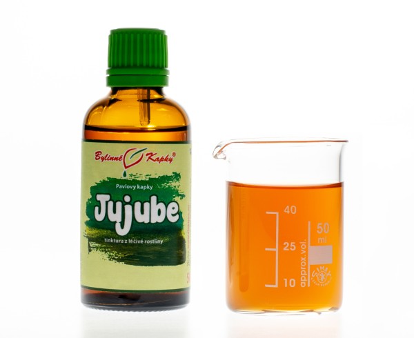 Jujube (jujuba) (TCM) - bylinné kapky (tinktura) 50 ml | FAJN Byliny