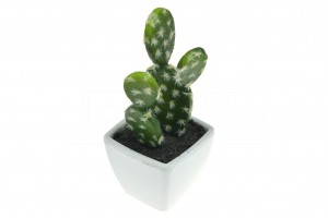 Umělé květiny, rostliny a plody | Asijské potraviny online - Nudle ...