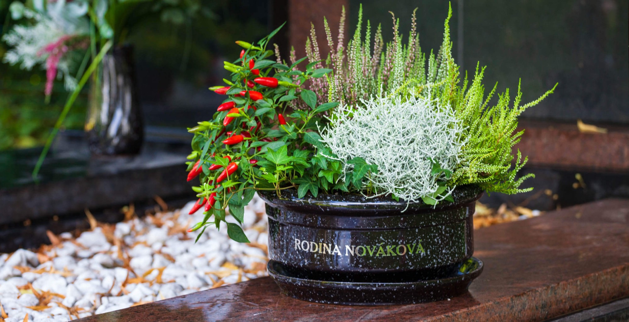 Hřbitovní mísy | Když slova nestačí.