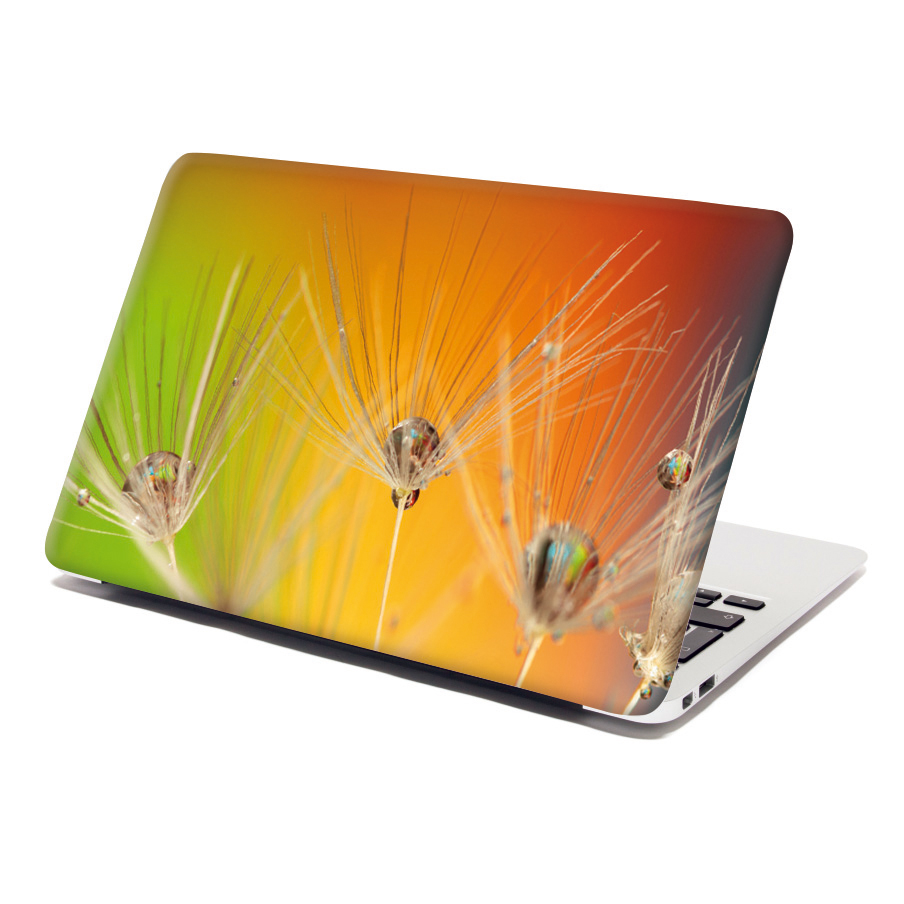 Samolepka na notebook Odkvetlé pampelišky 2 | Dekorace, fotodárky a dárky